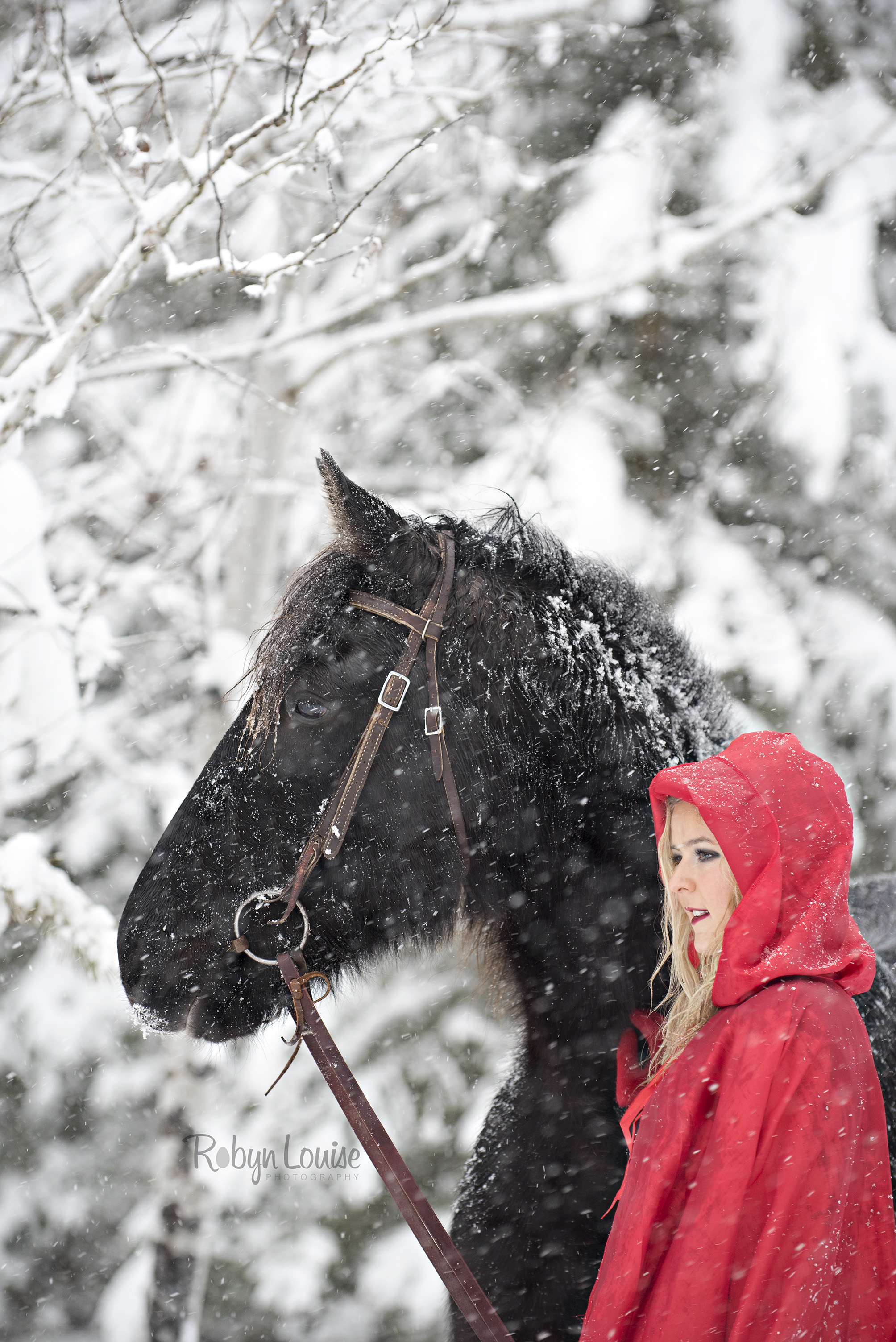 Little Red Riding Hood with a Horse